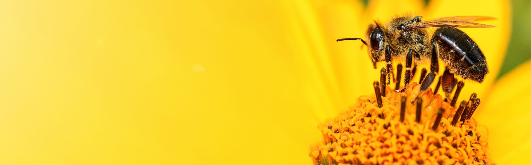 Growth Hacking – Generating Massive Buzz with Grass Roots Resources